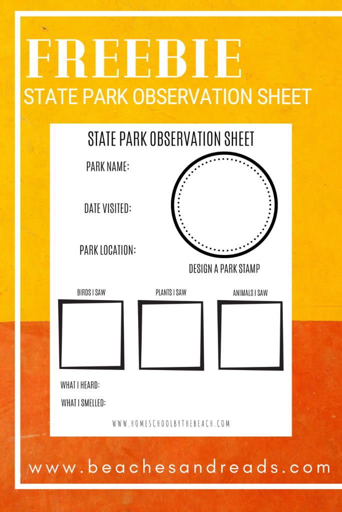 State Park Observation Sheet Freebie! - Beaches and Reads